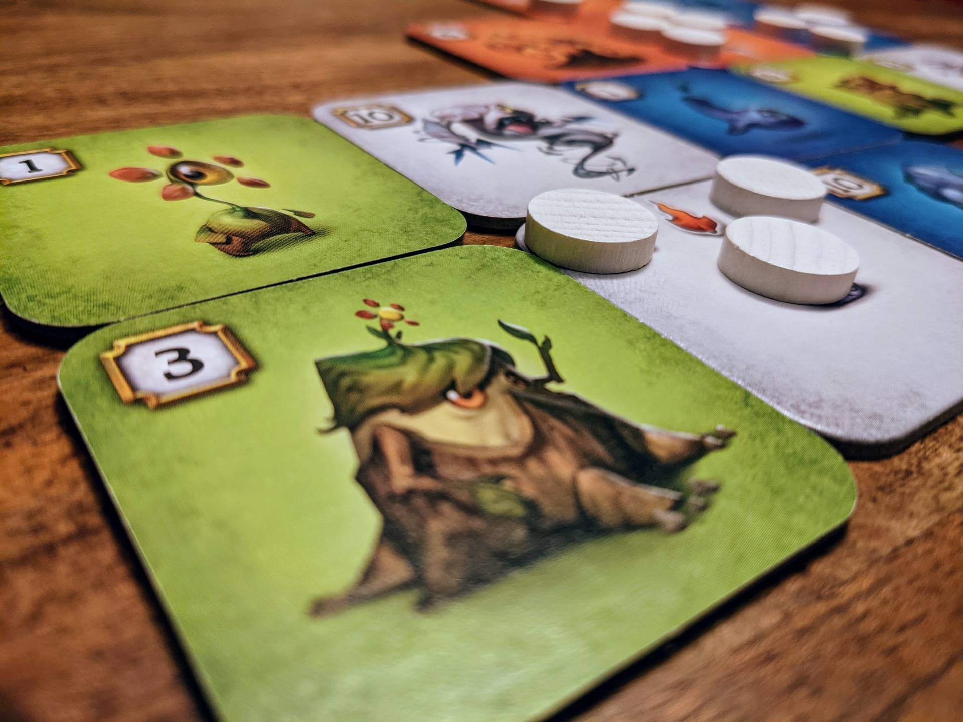 Sagani Review | Brettspiel Empfehlungen