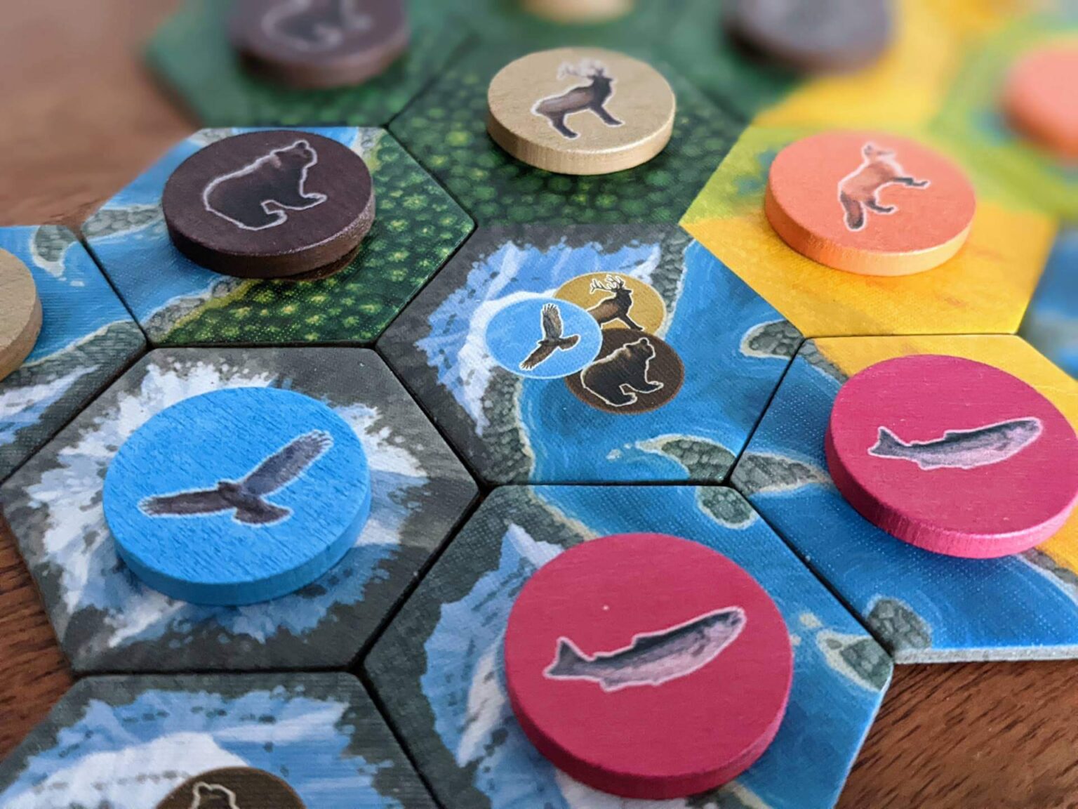 Cascadia Review | Brettspiel Empfehlungen