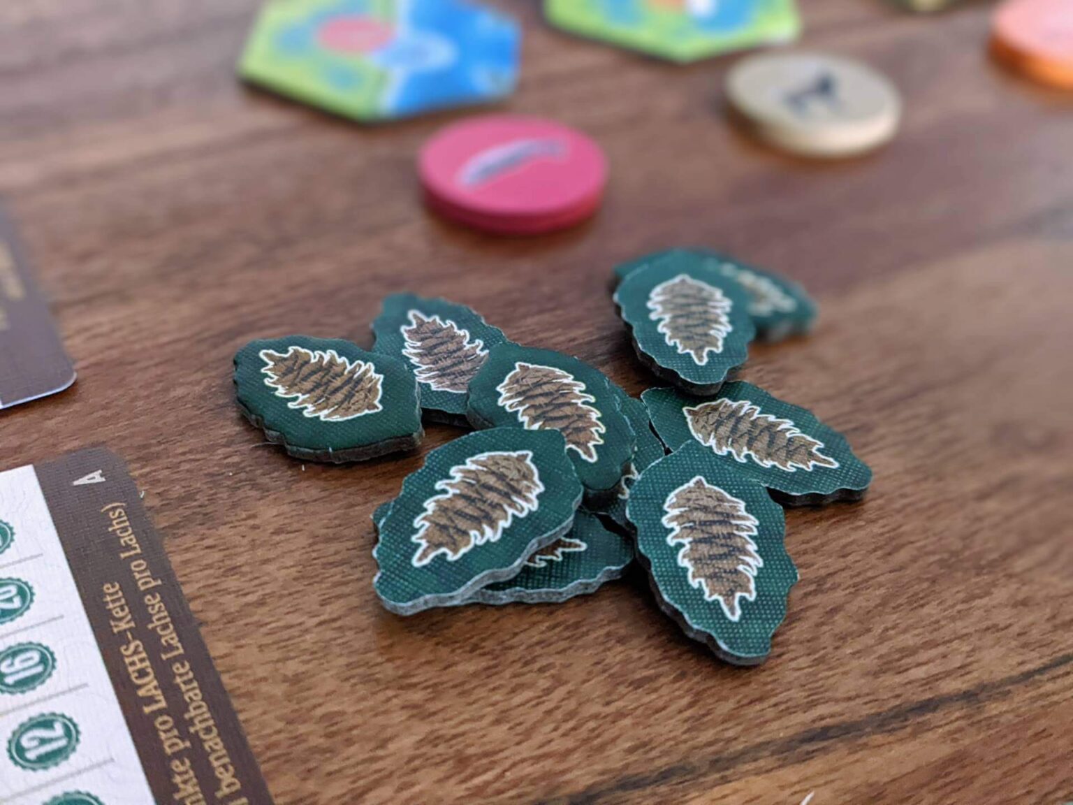 Cascadia Review | Brettspiel Empfehlungen