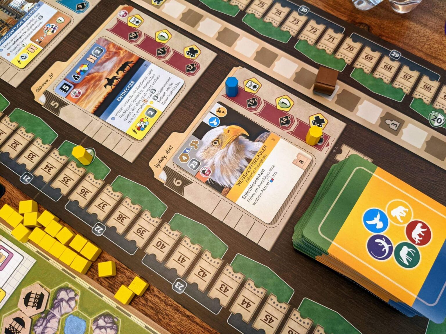 Arche Nova Review | Brettspiel Empfehlungen